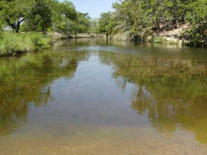 Camera Safari at Shonto Ranch • Shonto Ranch Hunting